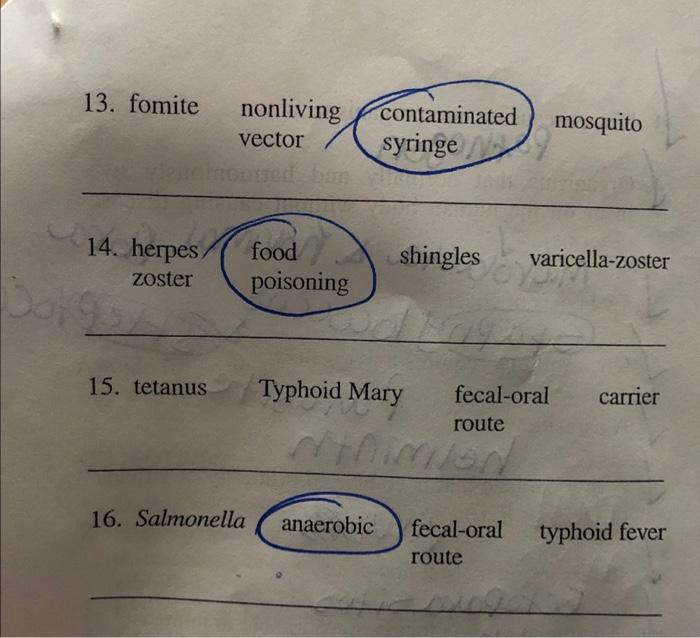 Solved please circle the word in each group that is least | Chegg.com