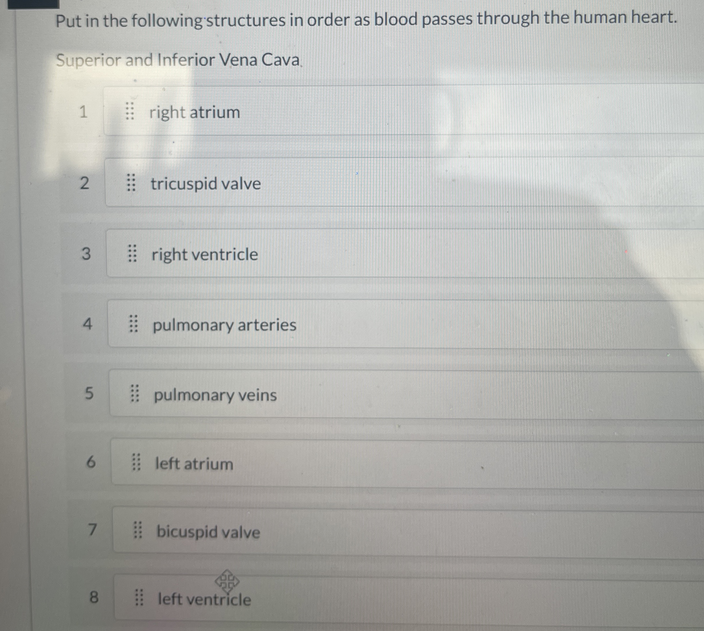 Solved Put in the following structures in order as blood | Chegg.com