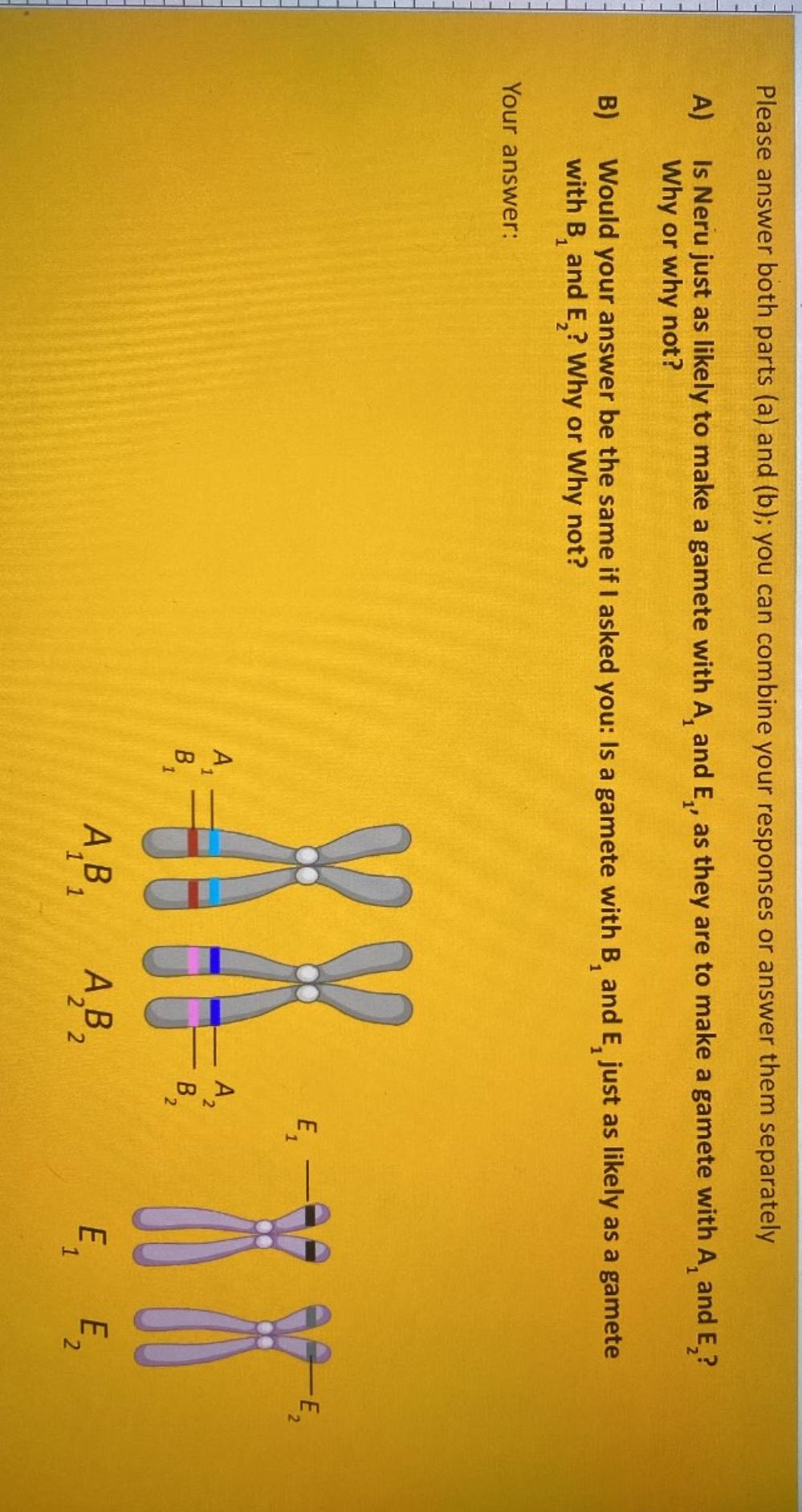 Solved Please answer both parts (a) and (b); you can | Chegg.com Solved Please answer both parts (a) and (b); you can | Chegg.com