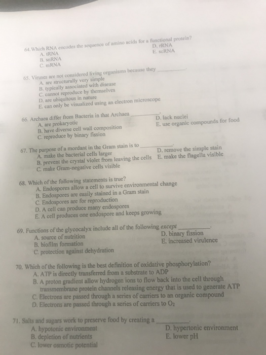 Solved 64. Which RNA encodes the sequence of amino acids for | Chegg.com