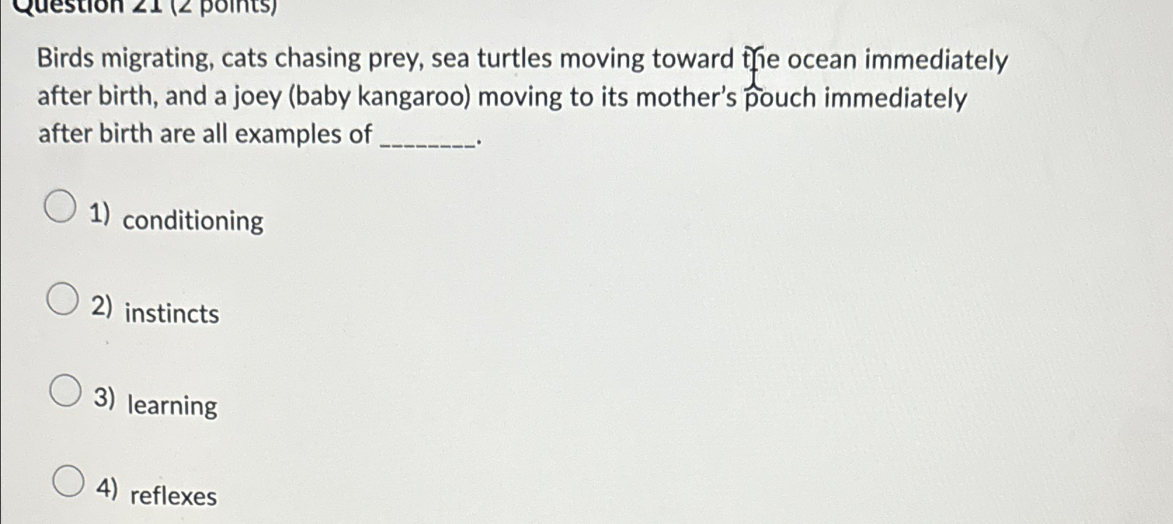 Solved Birds migrating, cats chasing prey, sea turtles | Chegg.com