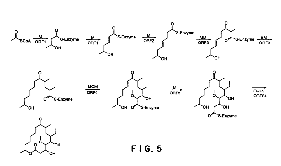 please provide the arrow pushing mechanism of this | Chegg.com