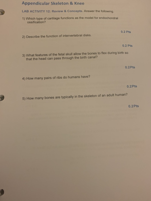 Solved Appendicular Skeleton & Knee LAB ACTIVITY 12: Review | Chegg.com