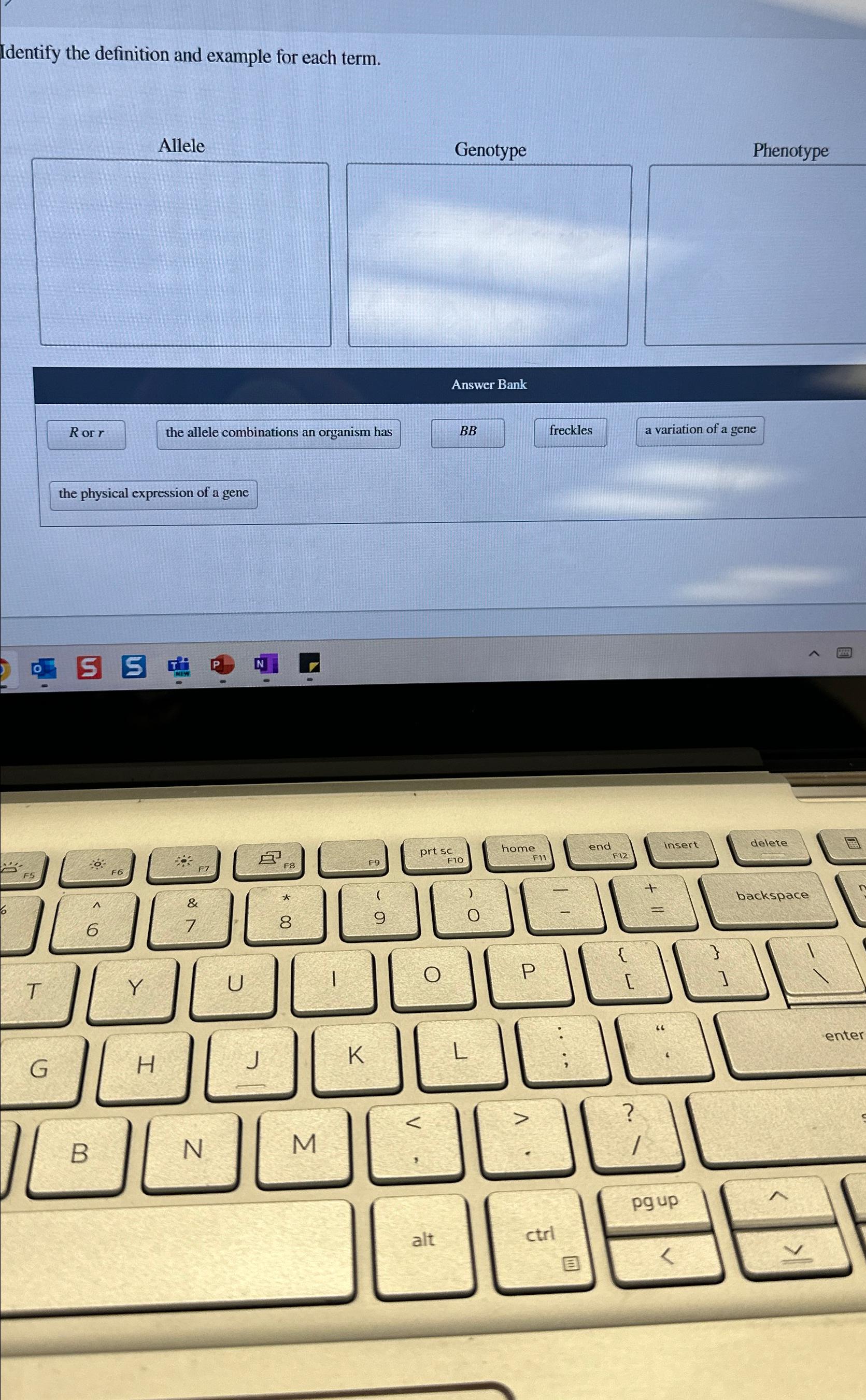 Solved Identify the definition and example for each | Chegg.com