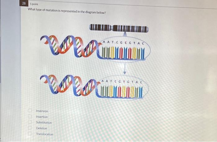 Solved What type of mutation is represented in the diagram | Chegg.com