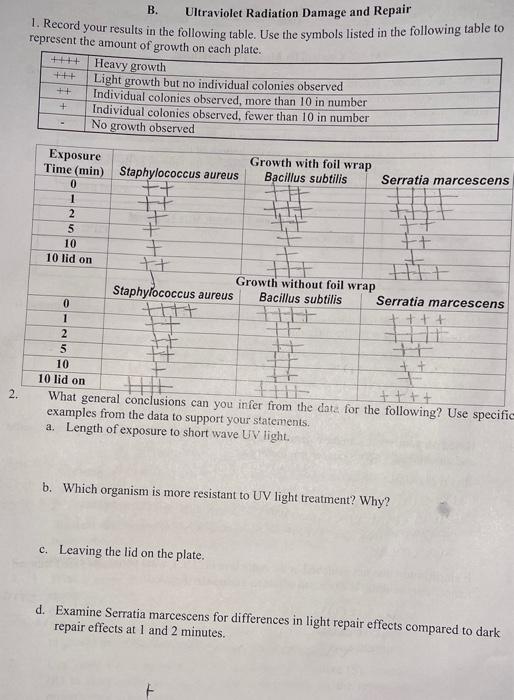 Solved B. Ultraviolet Radiation Damage and Repair 1. Record | Chegg.com