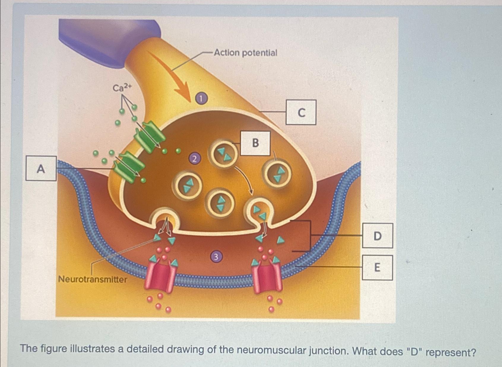 Solved The figure illustrates a detailed drawing of the | Chegg.com