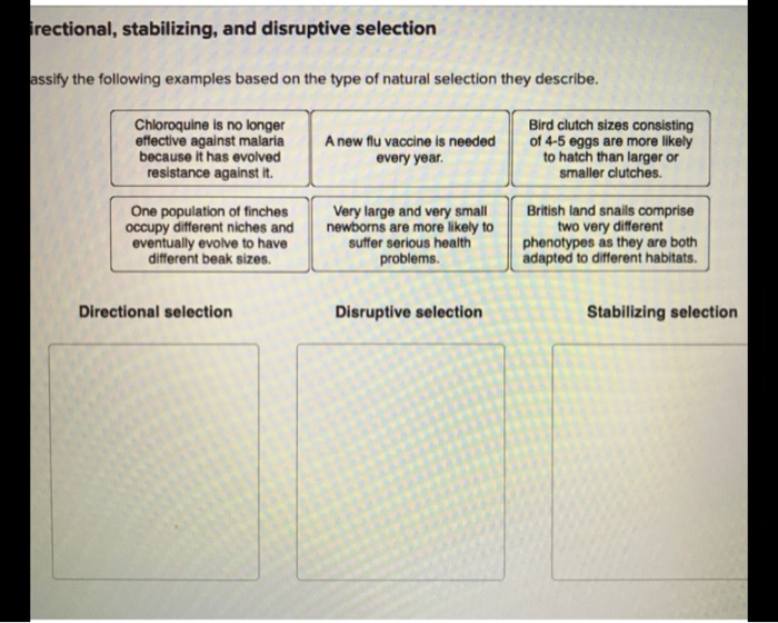 Solved rectional, stabilizing, and disruptive selection | Chegg.com