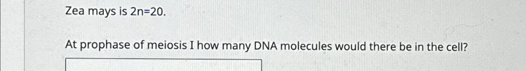 Solved Zea mays is 2n=20.At prophase of meiosis I how many | Chegg.com