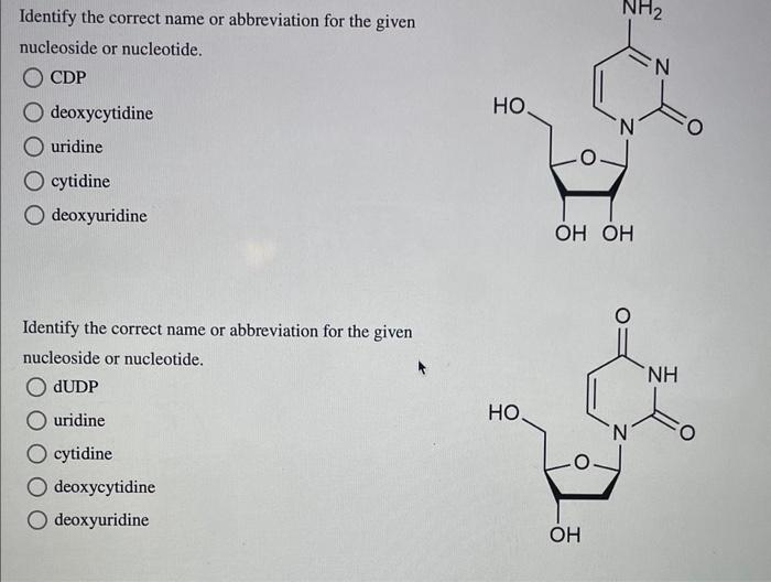 Solved One strand of a double-helical DNA has the sequence | Chegg.com