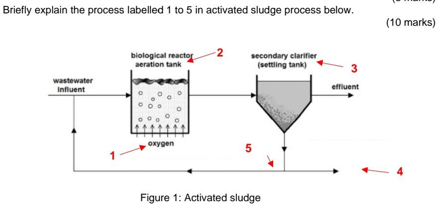 Solved Briefly explain the process labelled 1 to 5 in | Chegg.com