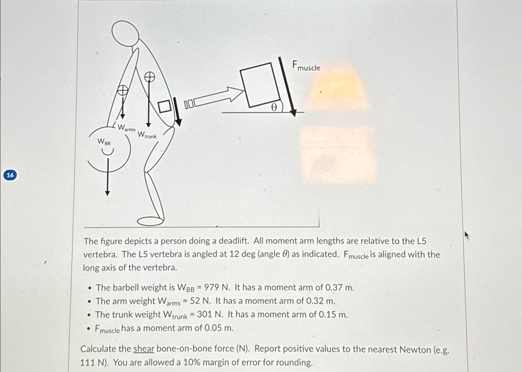 Solved The figure depicts a person doing a deadlift. All | Chegg.com