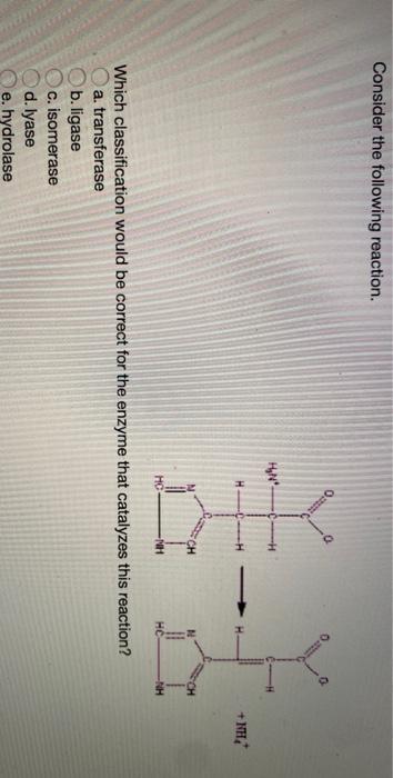 Solved Consider the following reaction. Hy H + NH. CH CH HC | Chegg.com