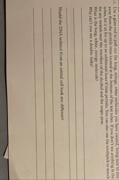 Solved Use a glass rod to pull out the long, stringy, white | Chegg.com