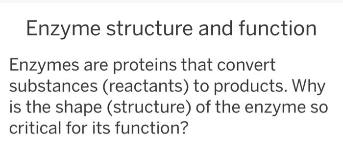 Solved Enzyme structure and function Enzymes are proteins | Chegg.com