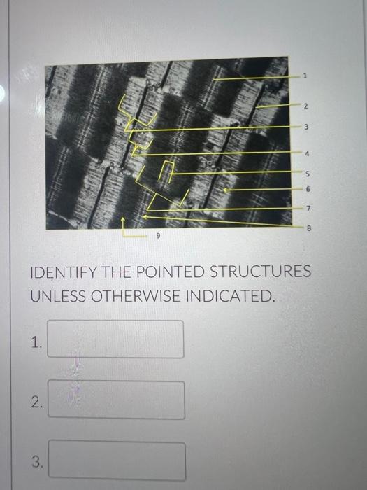 Solved 2 3 7 8 9 IDENTIFY THE POINTED STRUCTURES UNLESS | Chegg.com