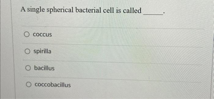 A single spherical bacterial cell is called coccus | Chegg.com