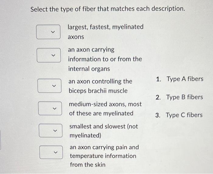 [Solved]: Select the type of fiber that matches each descri