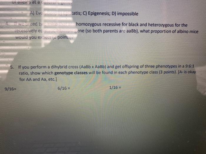 Solved our favorite Yellow (P) and pink (pp) lizards also | Chegg.com