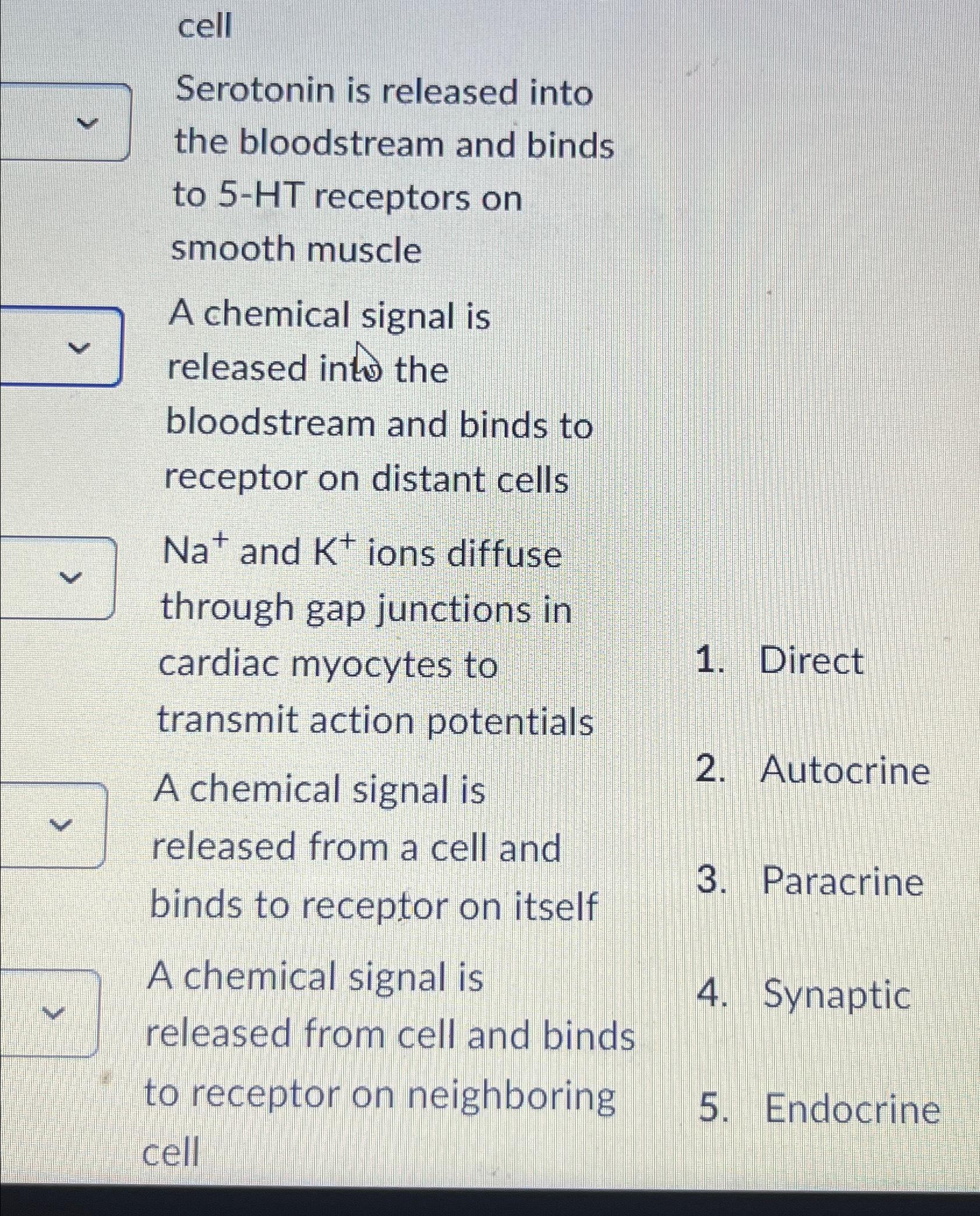Solved cellSerotonin is released into the bloodstream and | Chegg.com