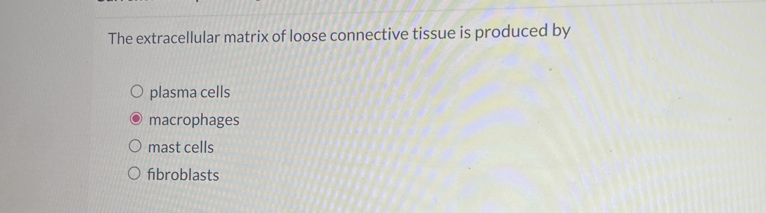 Solved The extracellular matrix of loose connective tissue | Chegg.com