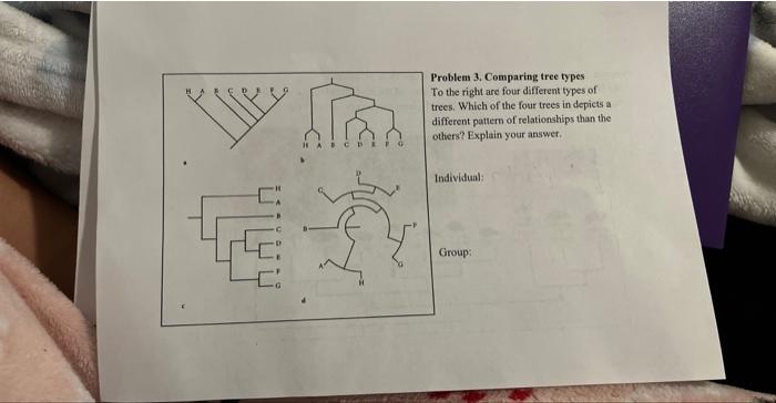 Solved Problem 3. Comparing tree types To the right are four | Chegg.com