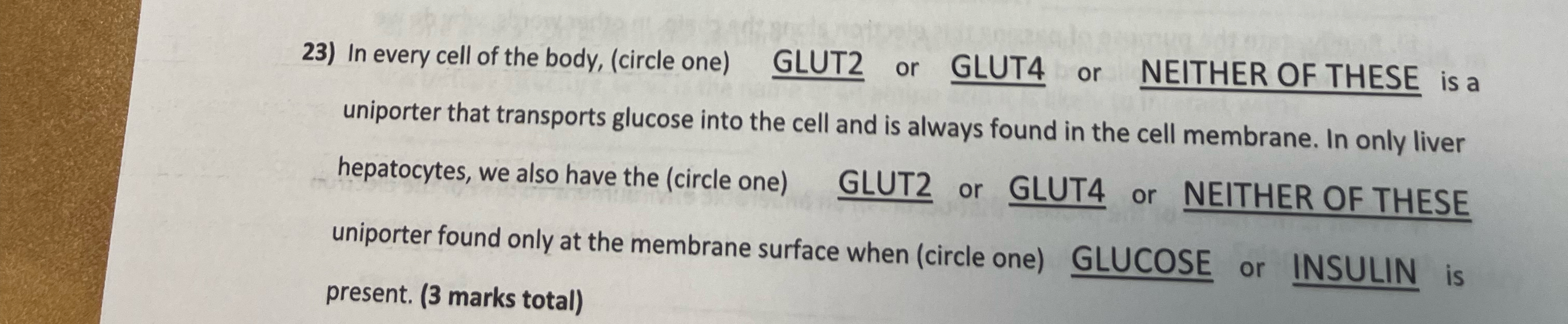 Solved In every cell of the body, (circle one) ﻿GLUT2 ﻿or | Chegg.com