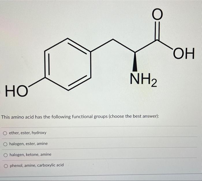 Solved OH NH2 HO This amino acid has the following | Chegg.com
