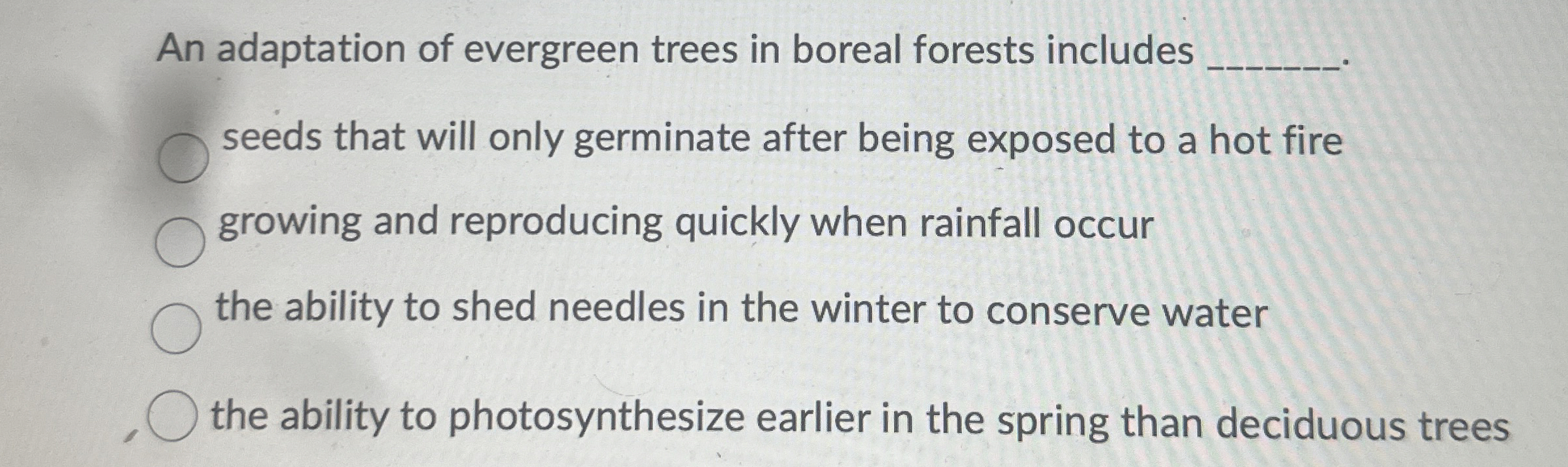 Solved An adaptation of evergreen trees in boreal forests | Chegg.com