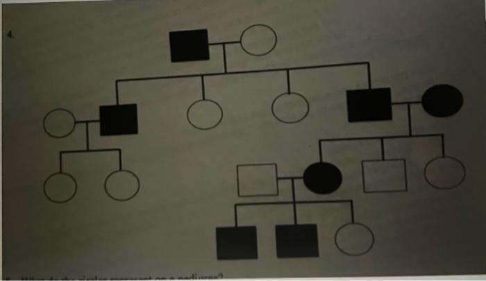 Solved hello can someone please determine the inheritance | Chegg.com