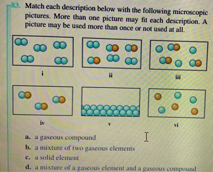 Solved 83. Match each description below with the following | Chegg.com