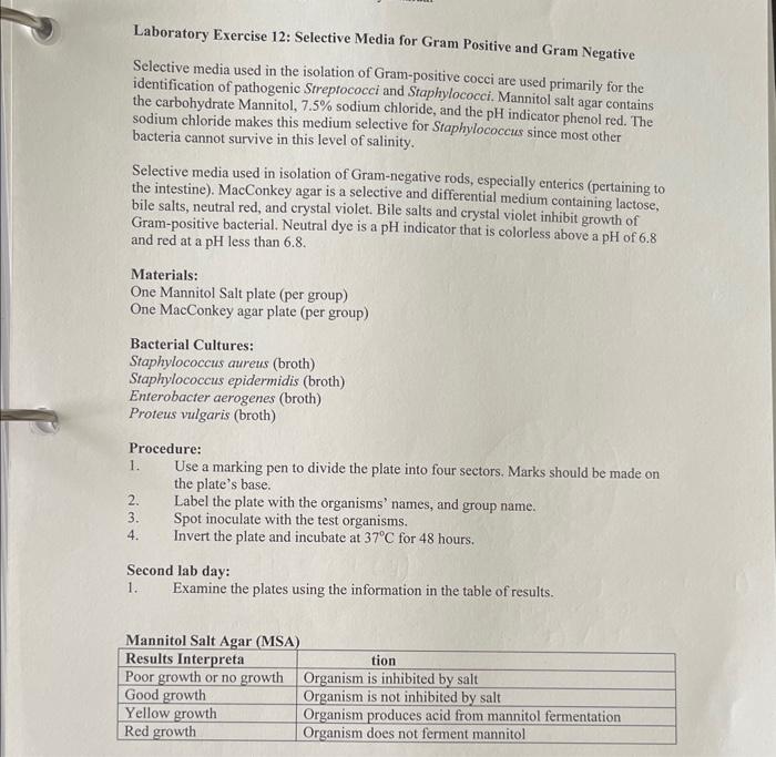 Solved Laboratory Exercise 12: Selective Media for Gram | Chegg.com