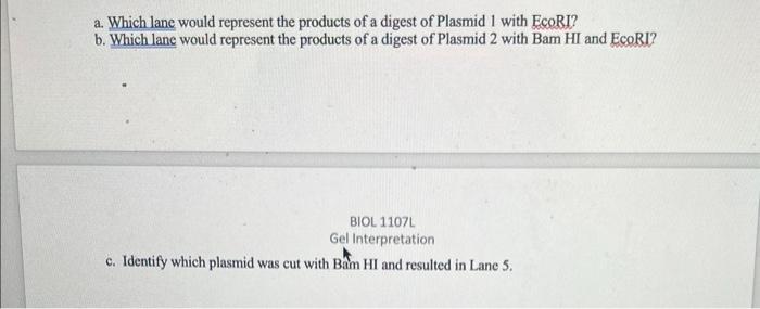 Solved 1) You have to identify two unknown plasmids using | Chegg.com
