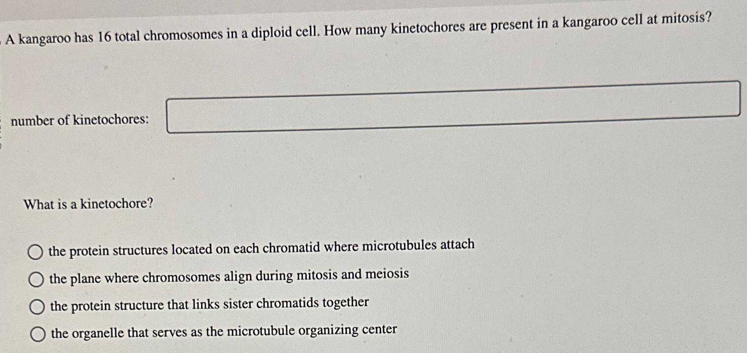 Solved A kangaroo has 16 ﻿total chromosomes in a diploid | Chegg.com