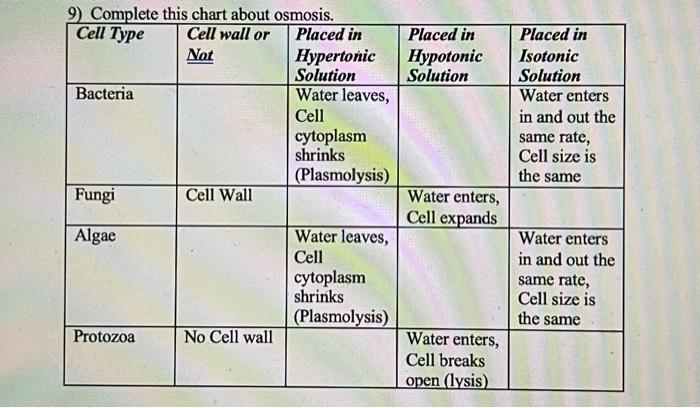 Solved 16) Complete this chart Oxygen Requirements | Chegg.com