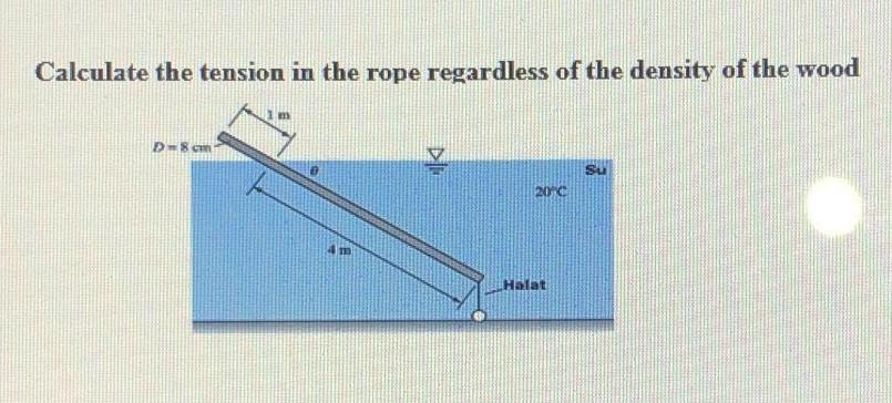 Solved Calculate the tension in the rope regardless of the | Chegg.com