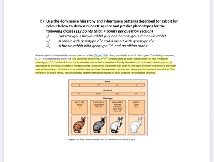 Solved b) Use the dominance hierarchy and inheritance | Chegg.com