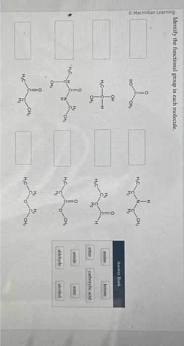 Solved Identify the functional group in each molecule. | Chegg.com