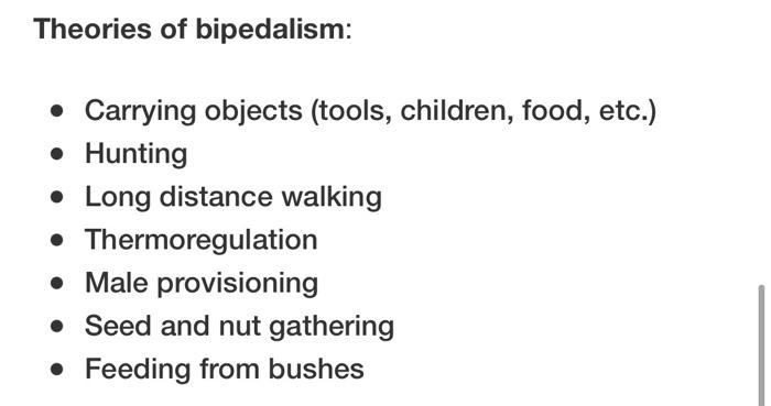 Solved Theories of bipedalism: • Carrying objects (tools, | Chegg.com