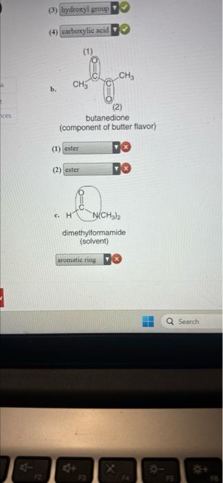 Solved k t ces F2 (3) hydroxyl group (4) carboxylic acid | Chegg.com