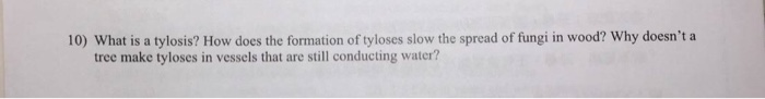 Solved 10) What is a tylosis? How does the formation of | Chegg.com