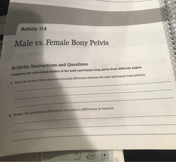 Solved Activity 11-5 Male vs. Female Bony Pelvis Activity | Chegg.com
