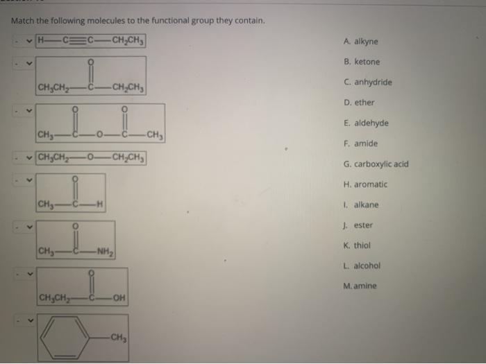 Solved Match the following molecules to the functional group | Chegg.com