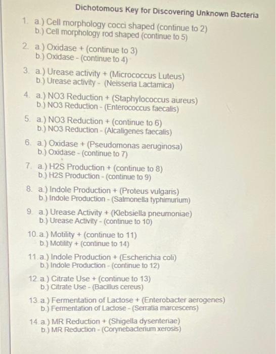 Solved Dichotomous Key for Discovering Unknown Bacteria 1. | Chegg.com