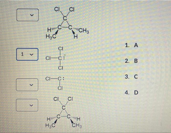 Solved Addition of Carbenes to Alkenes (Section 6.7)⋆ Ray | Chegg.com