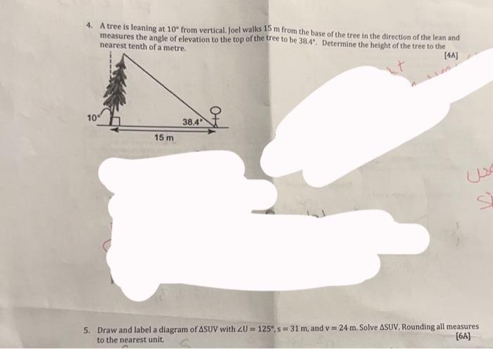 Solved 4. A tree is leaning at 10∘ from vertical. Joel walks | Chegg.com