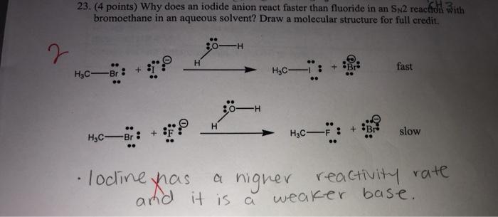 Solved 23. (4 points) Why does an iodide anion react faster | Chegg.com