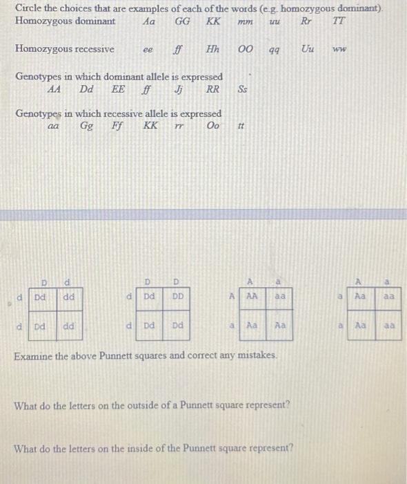 Solved Examine the above Punnett squares and correct any | Chegg.com