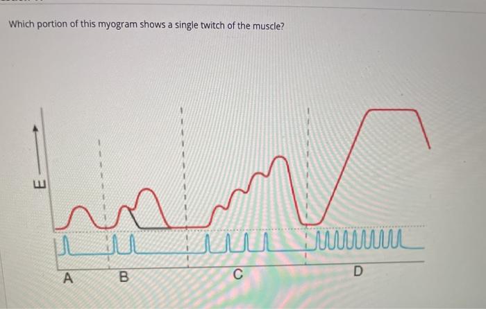 Solved Which portion of this myogram shows a single twitch | Chegg.com