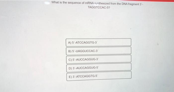 Solved What is the sequence of mRNA synthesized from the DNA | Chegg.com